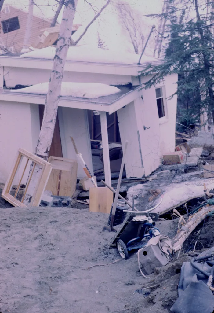 Building Back Better: Post-Disaster Community Recovery Strategies